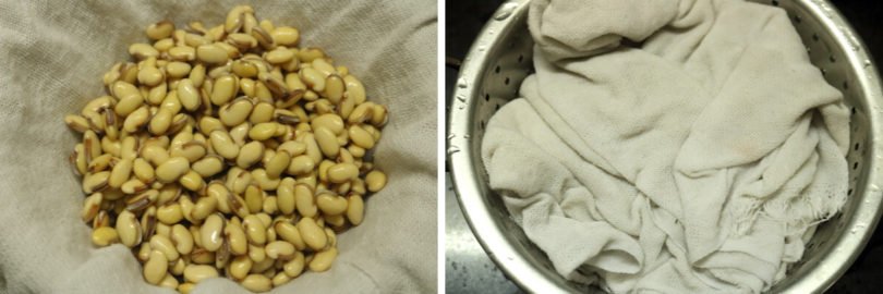 CKP Style Valache Birde (Birdhe) | Sprouted Field Beans Curry - ãhãram