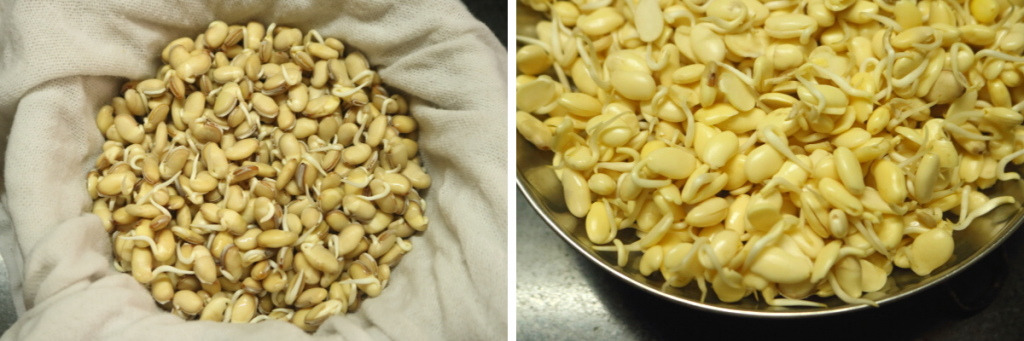 CKP Style Valache Birde (Birdhe) | Sprouted Field Beans Curry - ãhãram